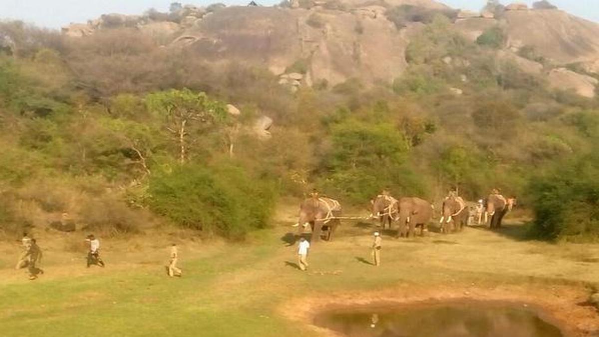 ‘Rowdy’ Ranga captured - The Hindu