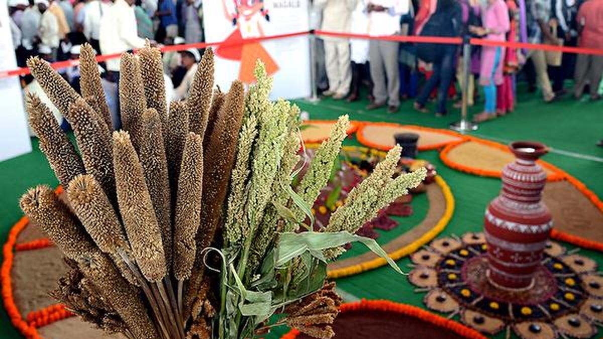 State launches indigenous organic and millets brands - The Hindu
