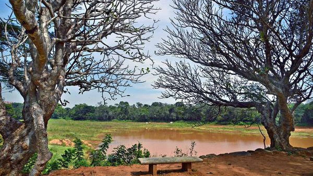 Can Tataguni Estate be preserved as an urban forest? - The Hindu