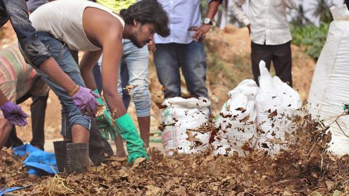 After success of Devanahalli FSTP, plans to set up more - The Hindu