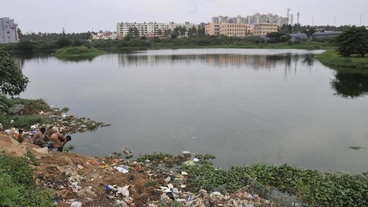 Stink in Bellandur lake has gone up - The Hindu