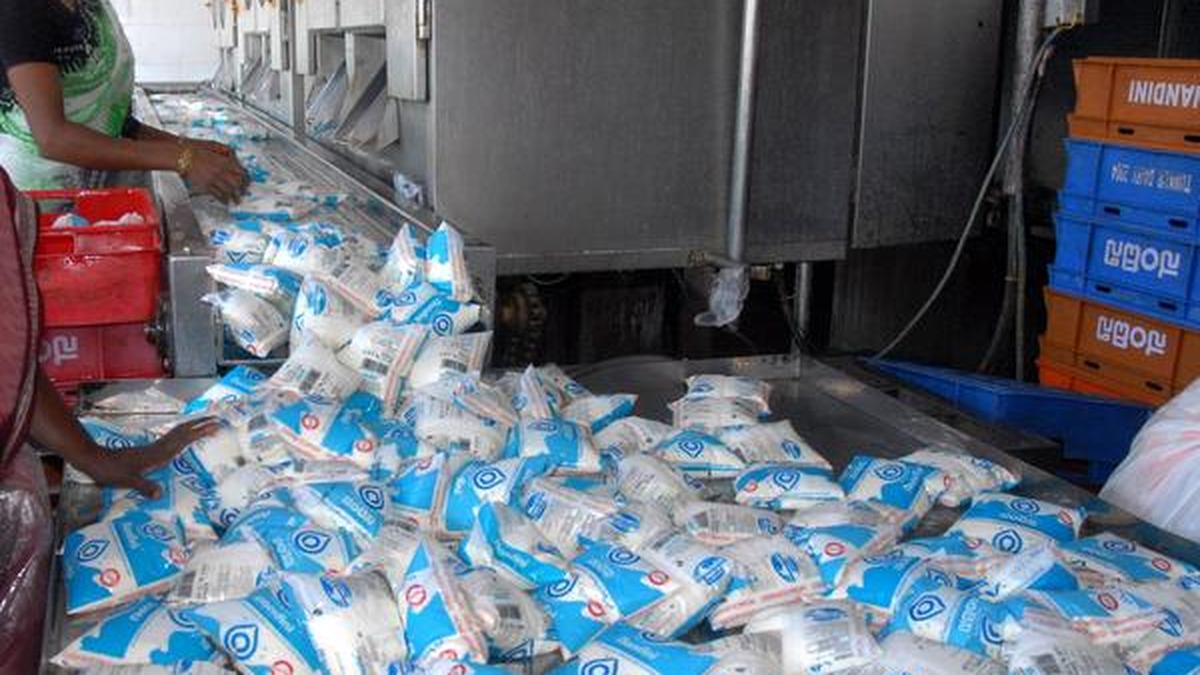 Milk packets are here to stay: KMF - The Hindu