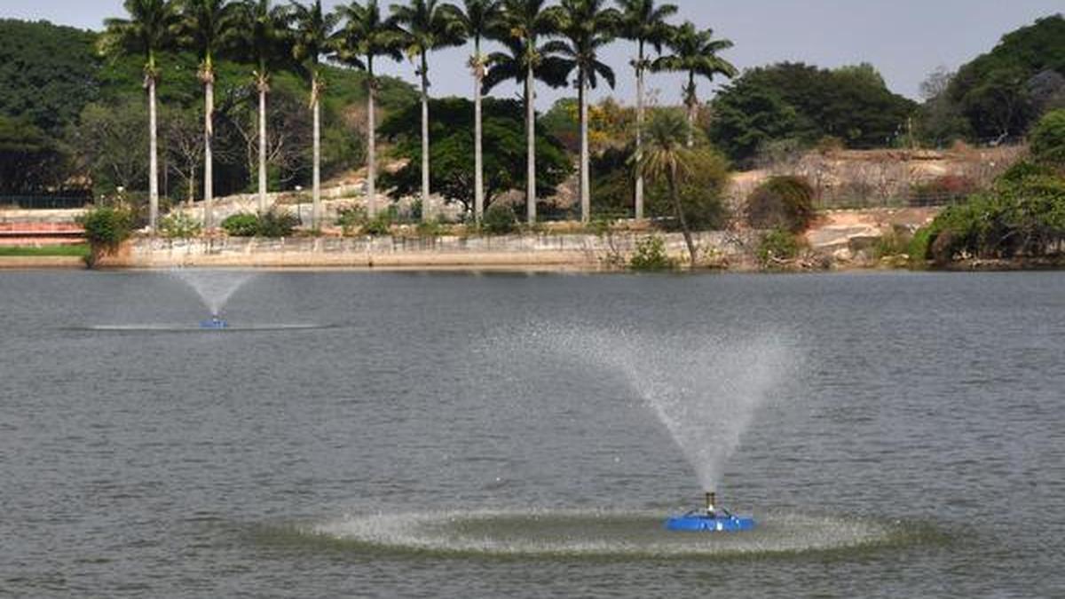 Lake at Lalbagh gets ready for a makeover - The Hindu