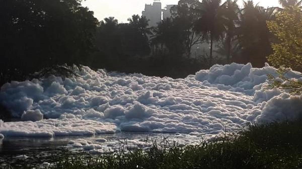 Varthur lake froths - The Hindu