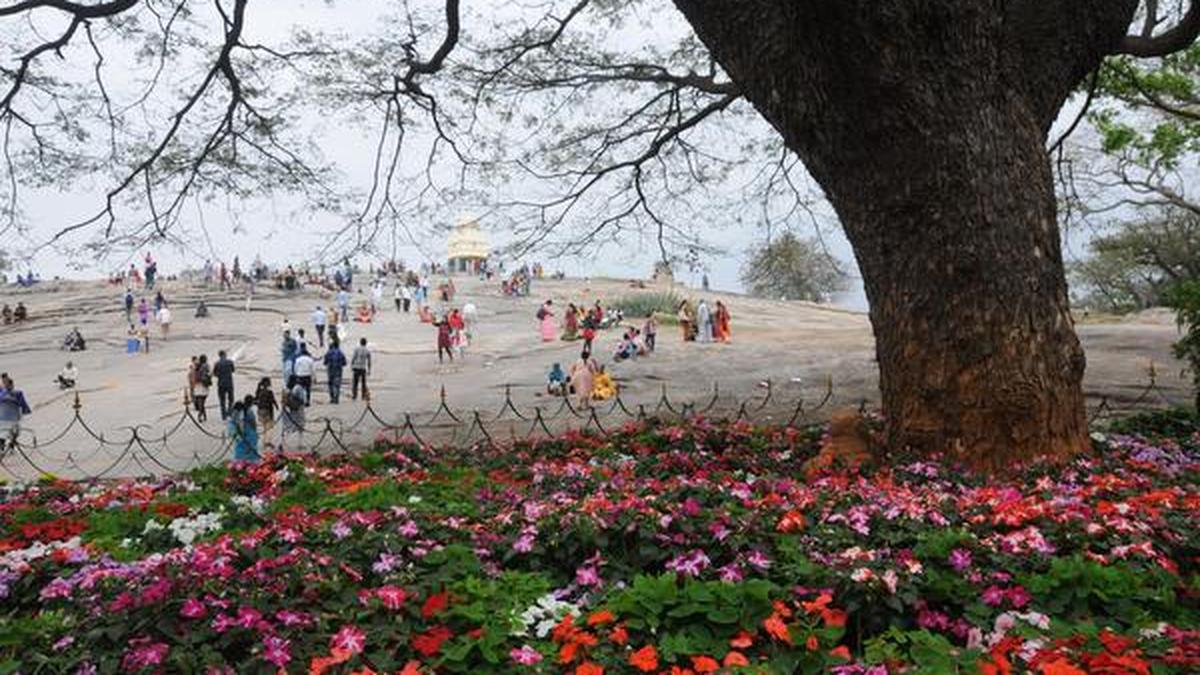 Lalbagh to create digital record of its plant wealth - The Hindu