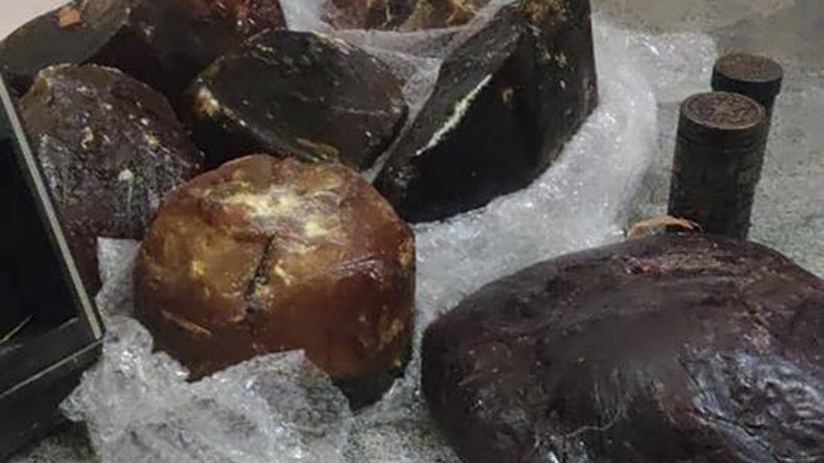 CCB seizes 80 kg of sperm whale ambergris worth ₹80 crore - The Hindu