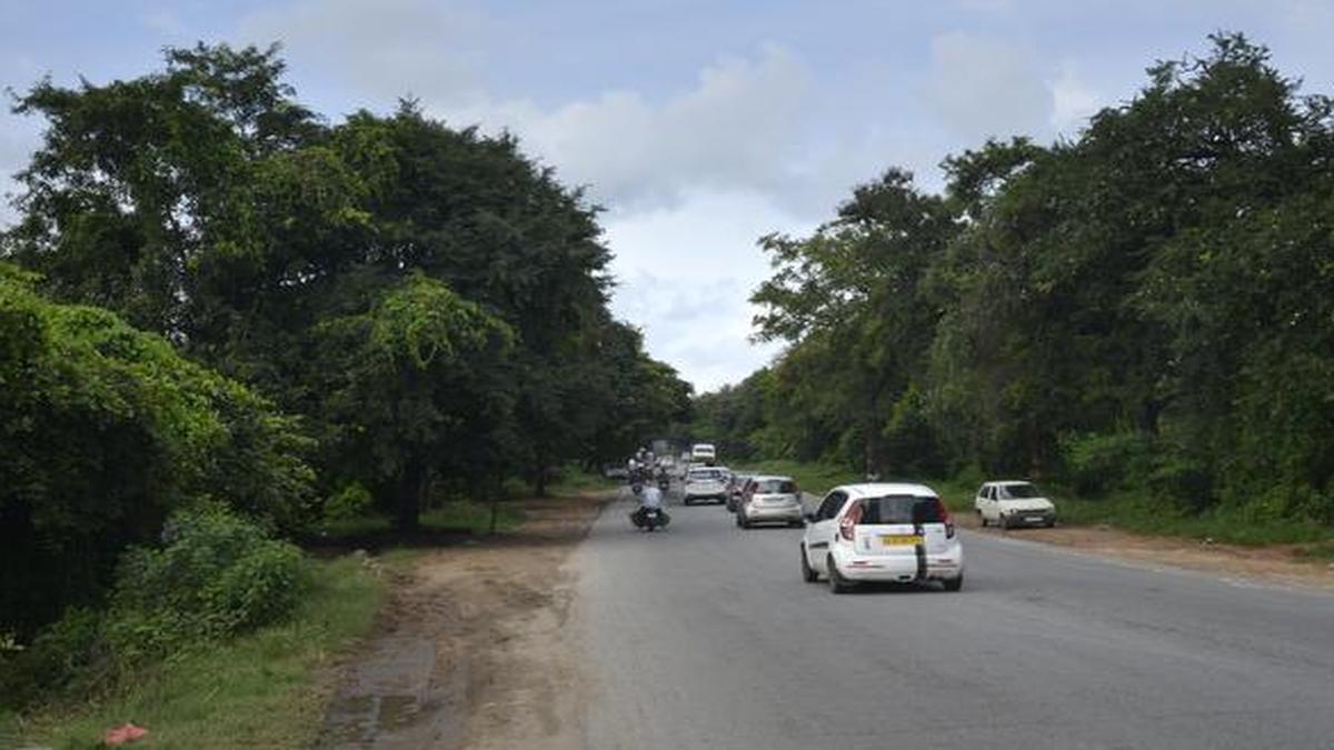 BMRCL gets forest patch for Green Line - The Hindu