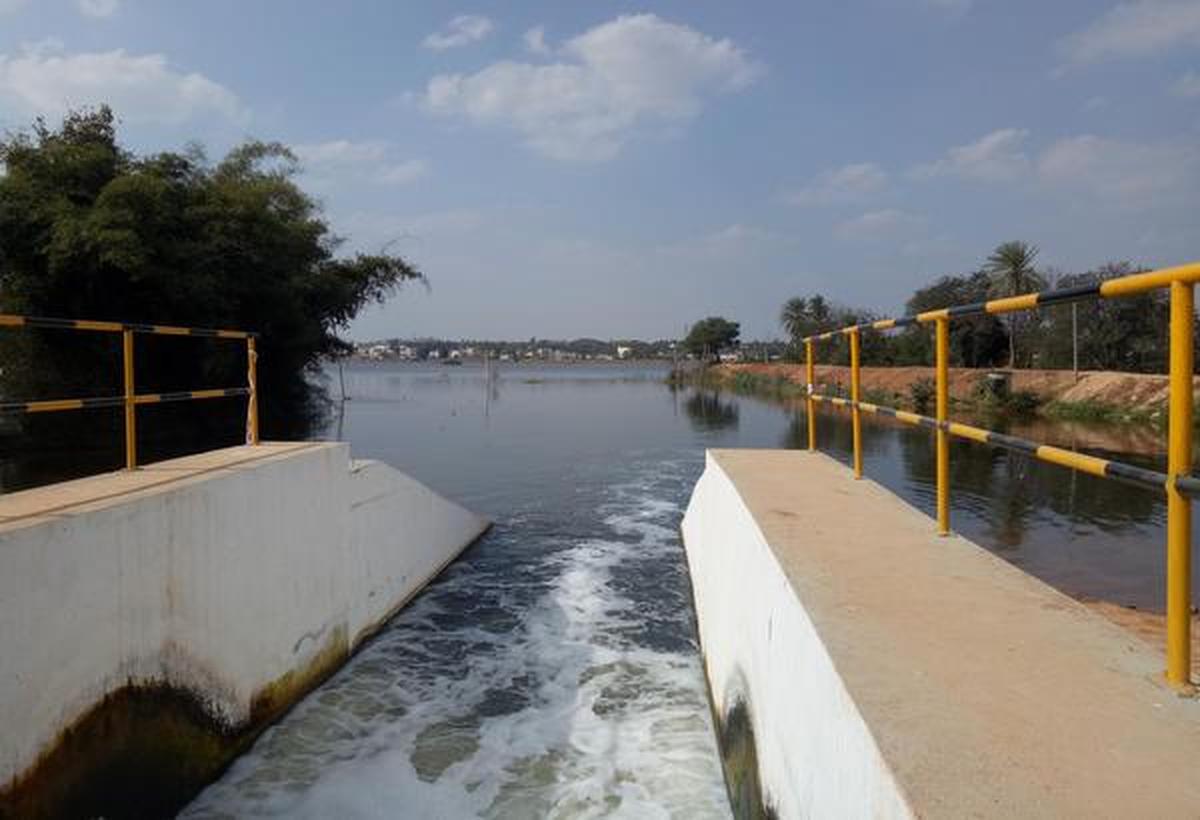 Bagaluru lake springs back to life, thanks to treated water from city ...