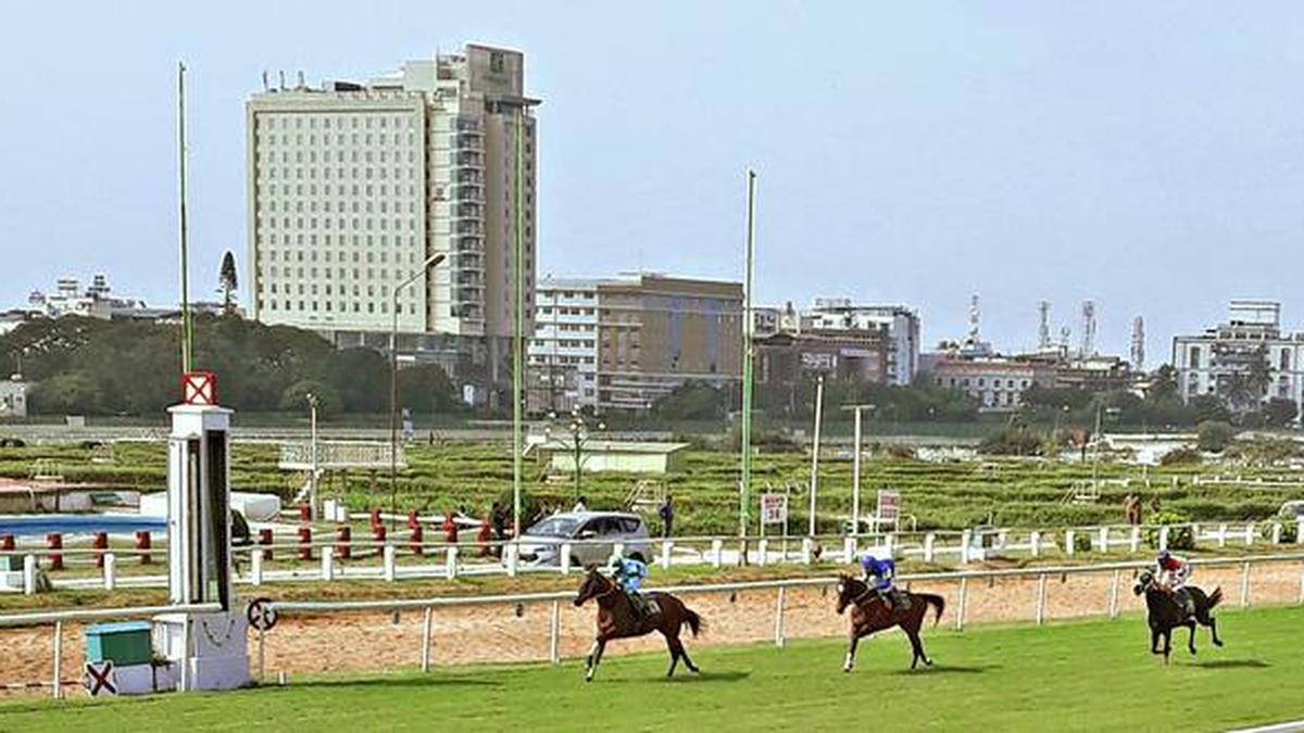 Decks cleared to resume racing at turf club - The Hindu