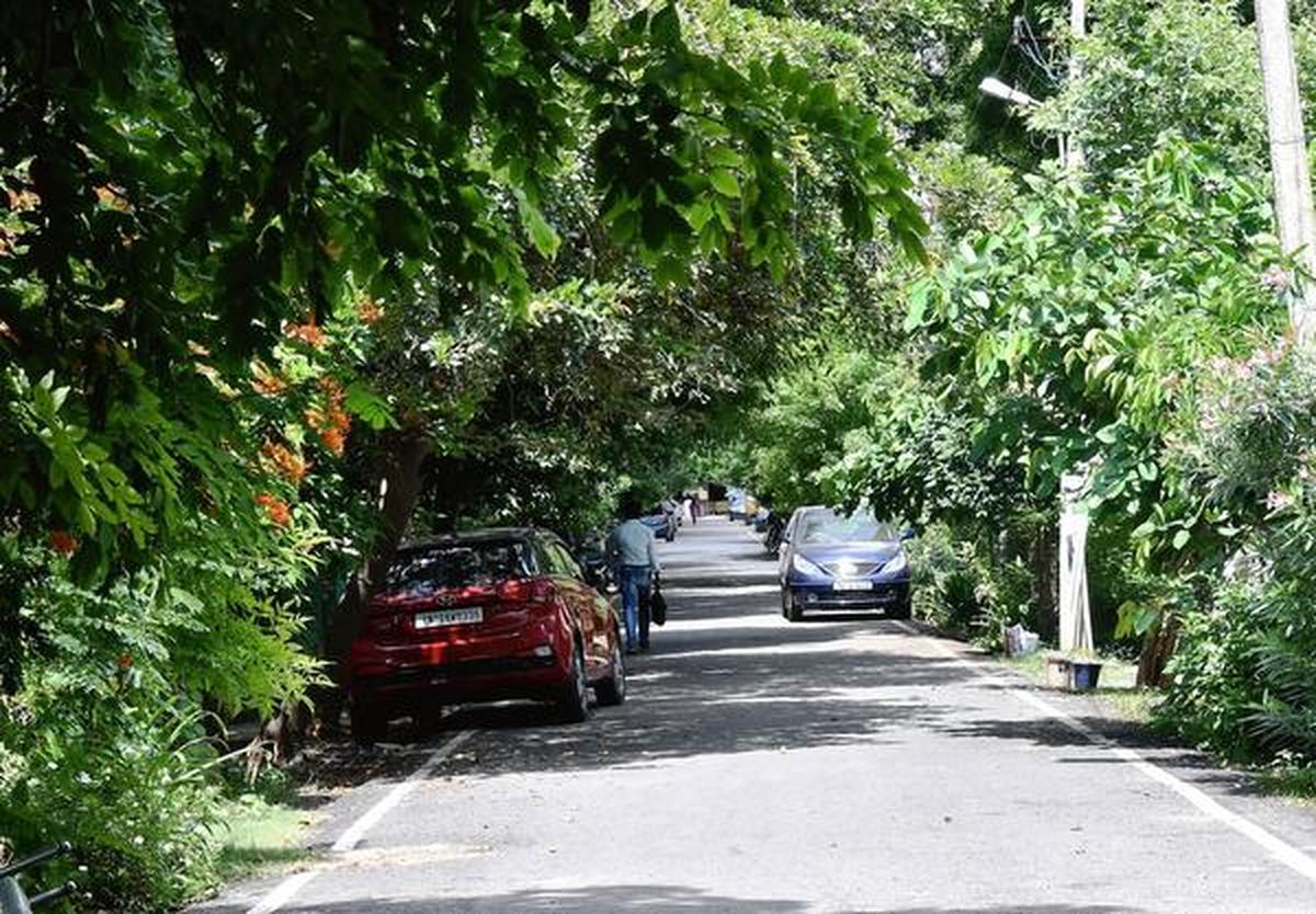 A tree-friendly community in Chennai - The Hindu