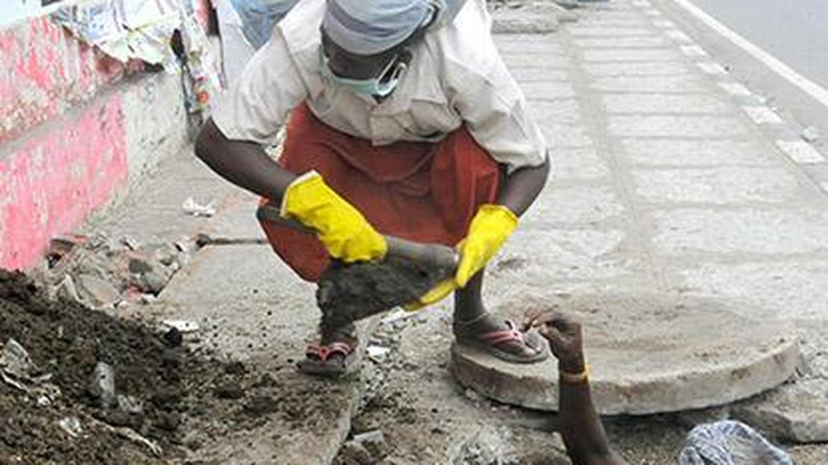 Chennai Corporation delays removal of polluted silt - The Hindu