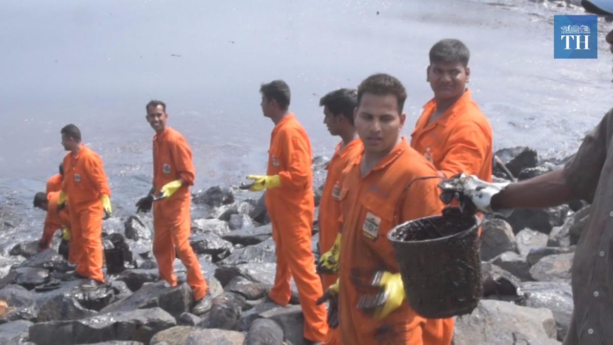 Ennore oil spill: What happened ? - The Hindu