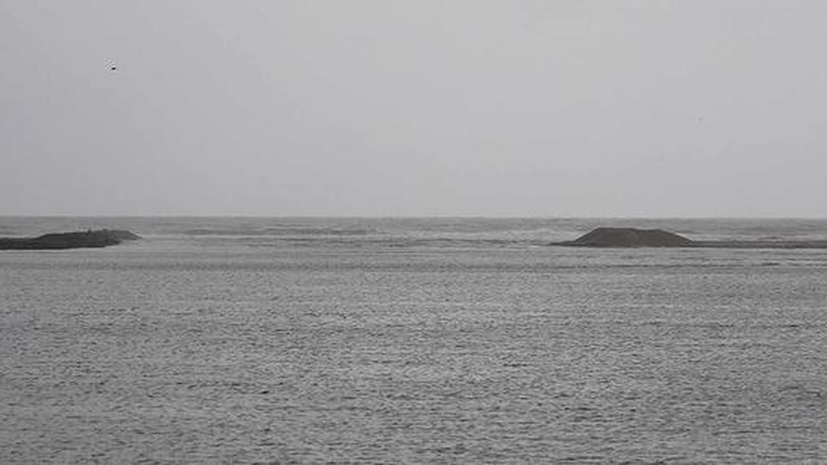 Residents initiate campaign to protect Muttukadu backwaters - The Hindu