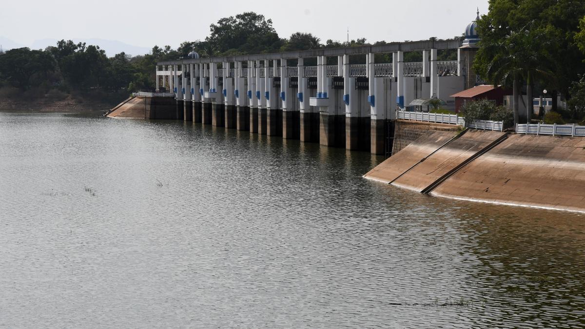 Poondi rises, thanks to Krishna - The Hindu