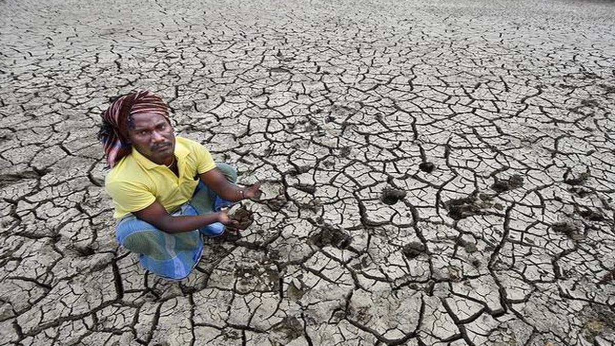 Explain stand on TN drought relief: HC - The Hindu