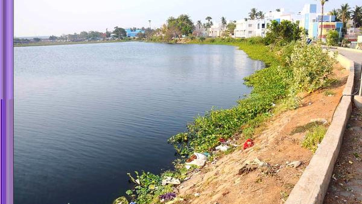 ‘Protect Chitlapakkam Eri’ - The Hindu