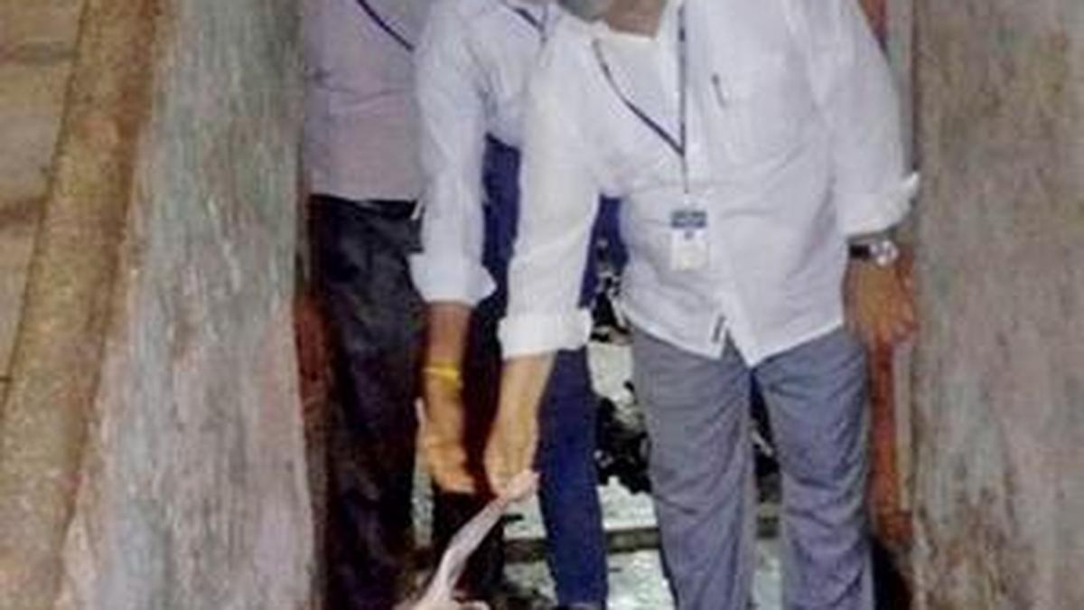 Over 400 kg of rotten meat seized in Triplicane - The Hindu