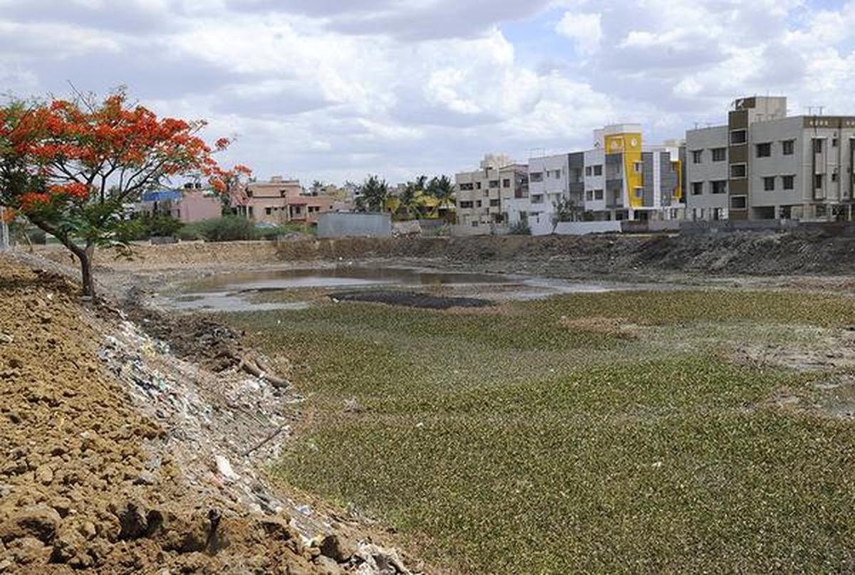 Putheri lake gets a makeover - The Hindu