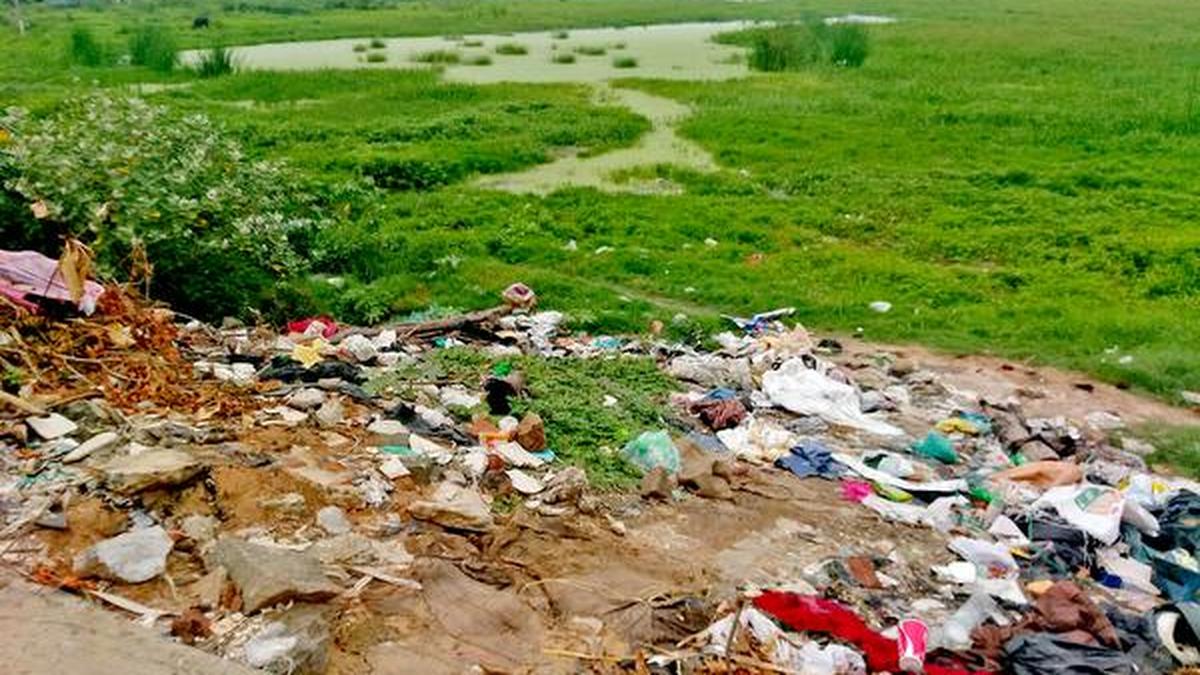 A Chetpet lake for South Chennai? - The Hindu