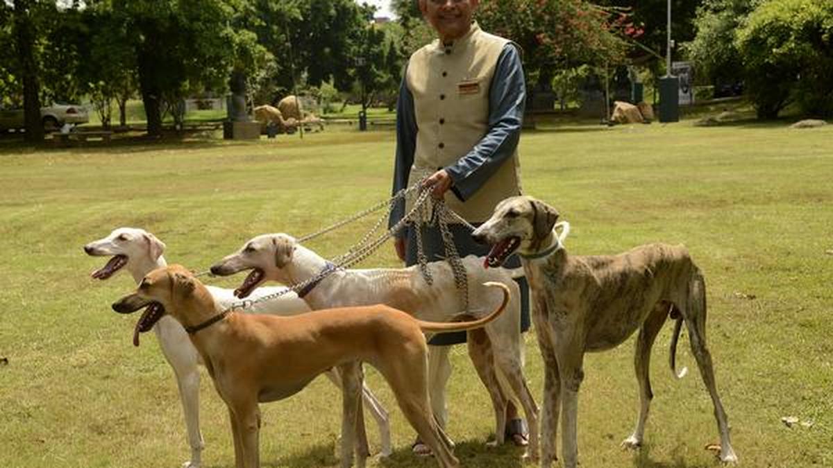 Canine tales - The Hindu