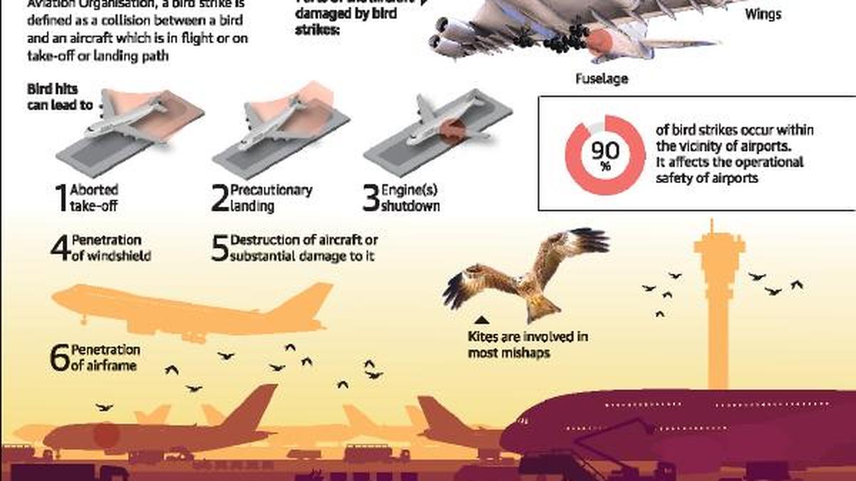 It’s a bird, it’s a plane, and it’s risky - The Hindu