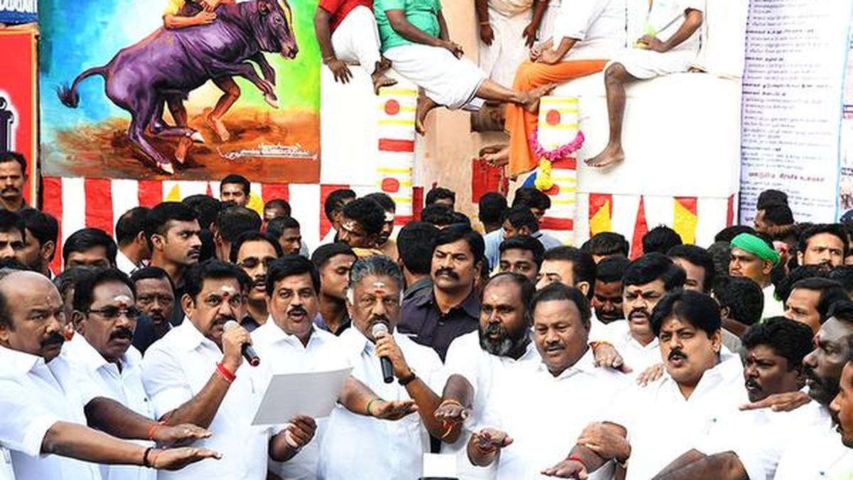 CM inaugurates jallikattu in Alanganallur - The Hindu