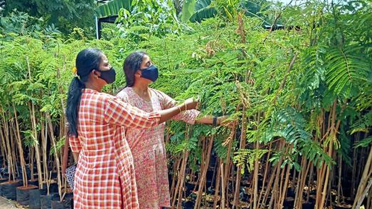 Residents make green pact with GCC - The Hindu