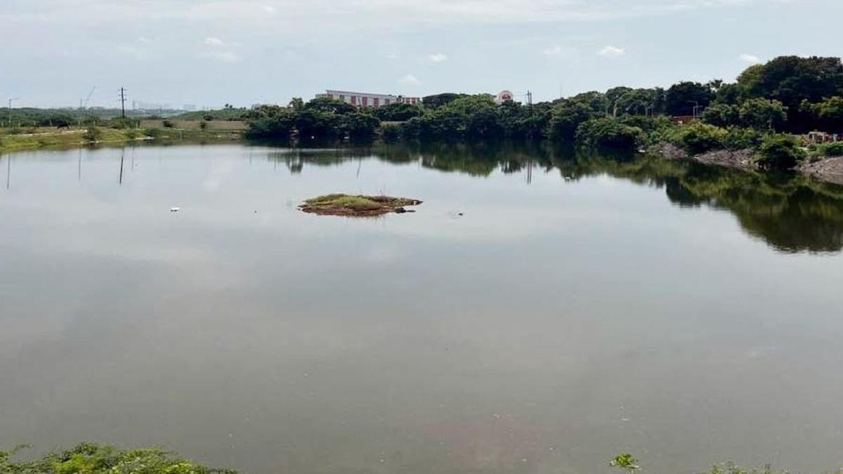 Chennai’s flood relief efforts | A tale of two perspectives: Chennai ...