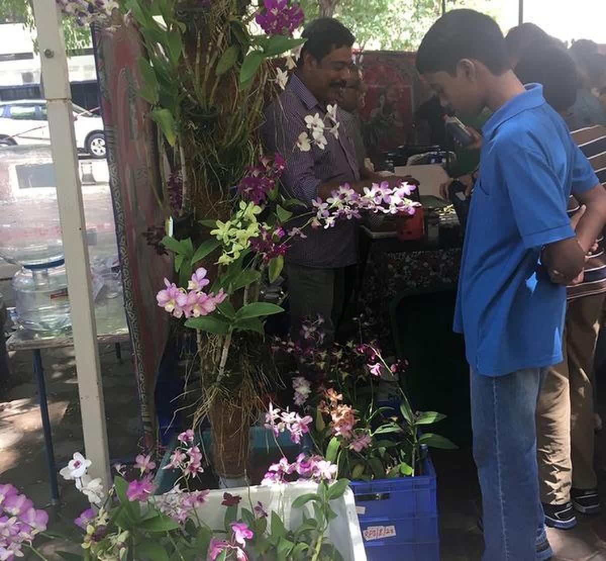 What happened at Woodside Farmers Market? - The Hindu