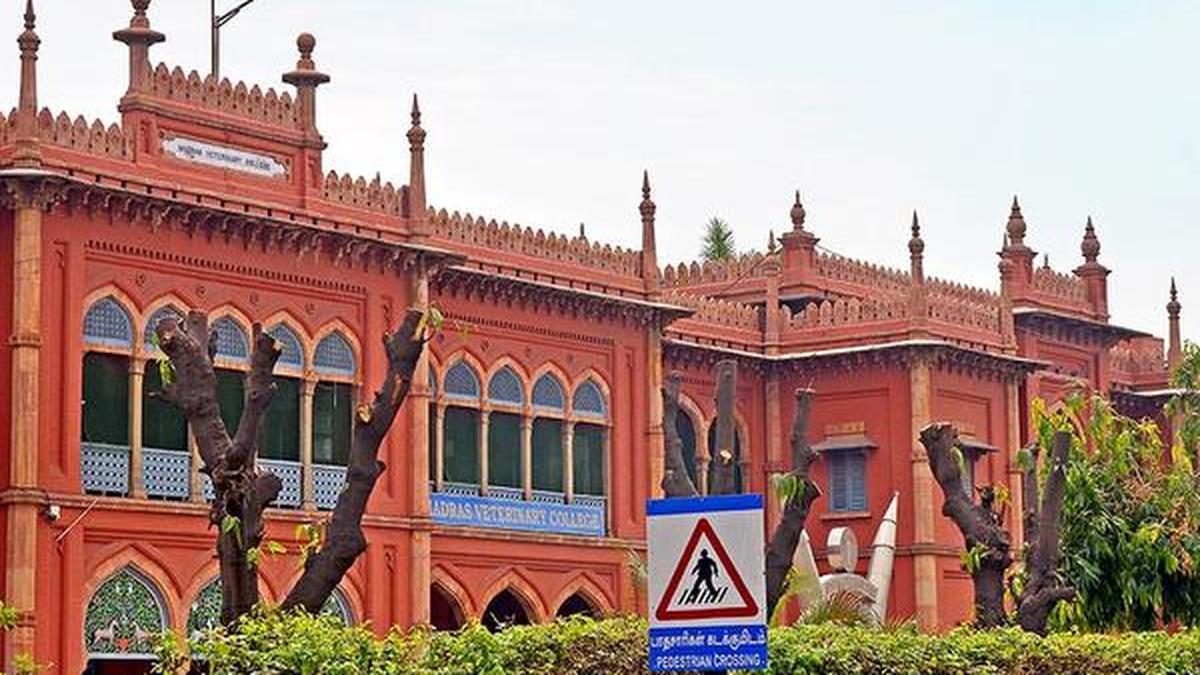 Tanuvas invites applications for UG courses - The Hindu