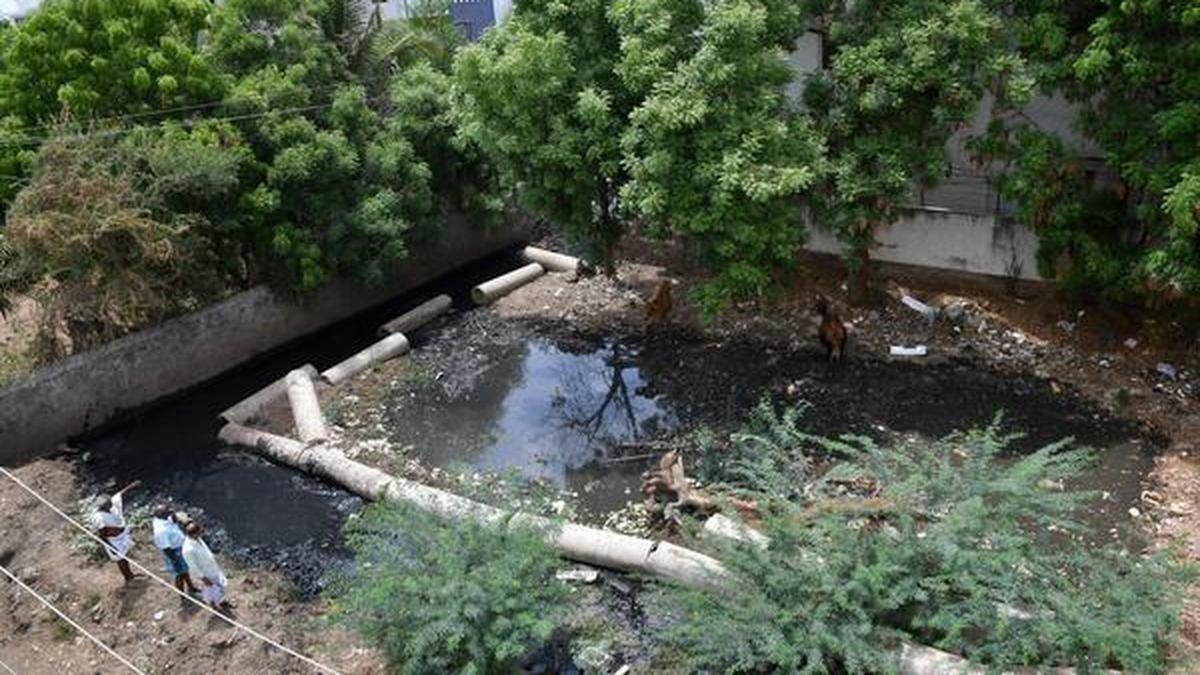 A cesspool in their backyard - The Hindu