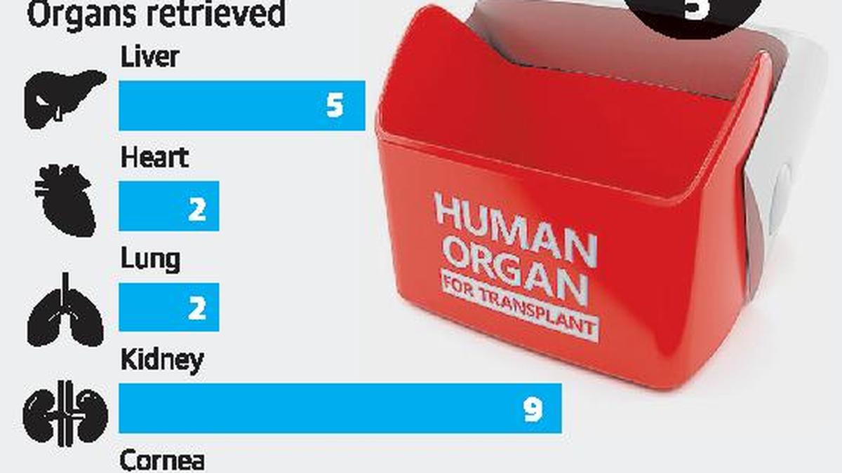 Non-transplant hospitals to get licence for organ retrieval - The Hindu