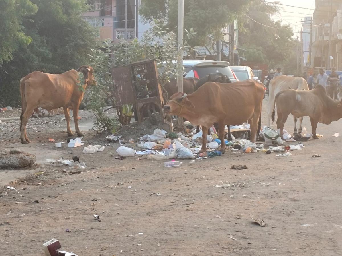 Open government land in MMDA Mathur turns into waste dumpyard - The Hindu