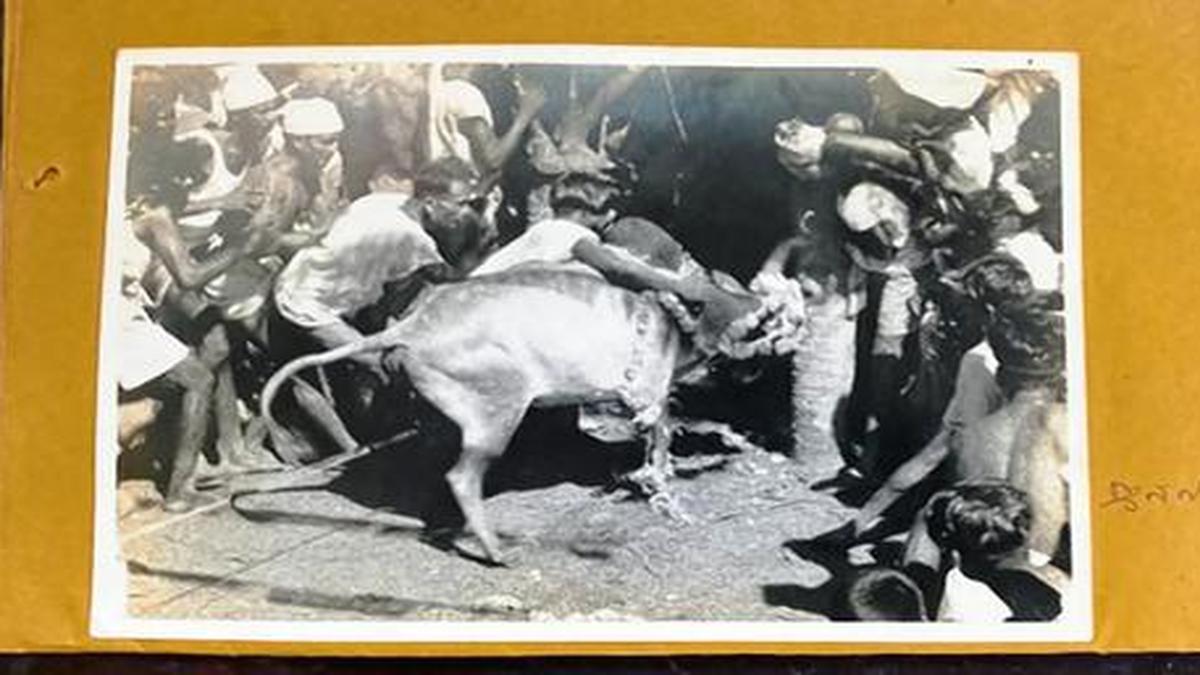 Chellappa endowment set up in Madras University - The Hindu