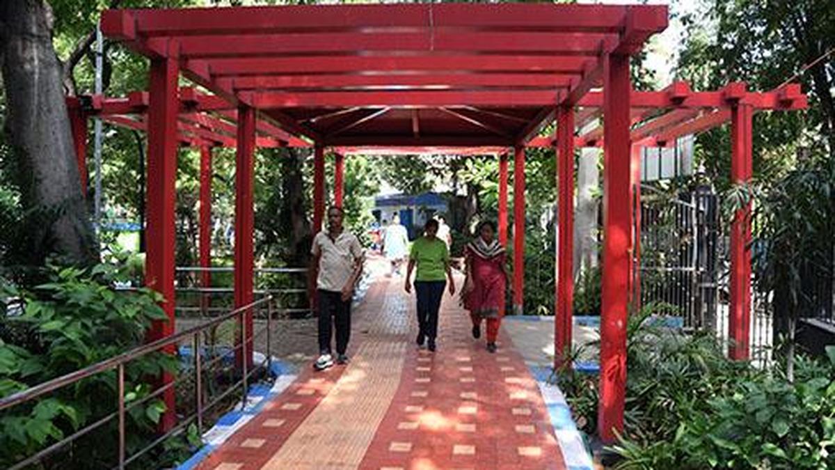 Natesan Park and Jeeva Park are now open to public - The Hindu