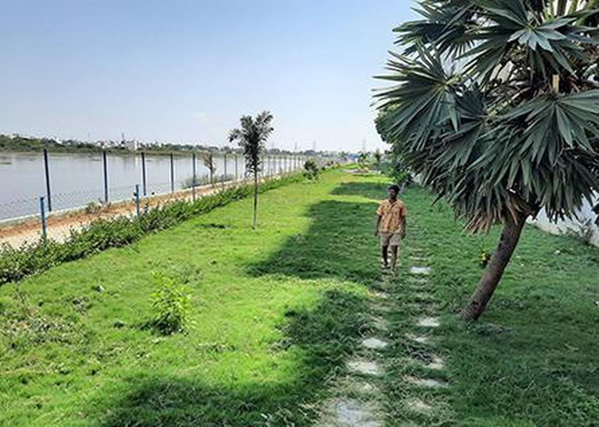 Korattur lake eco-park will be opened today - The Hindu