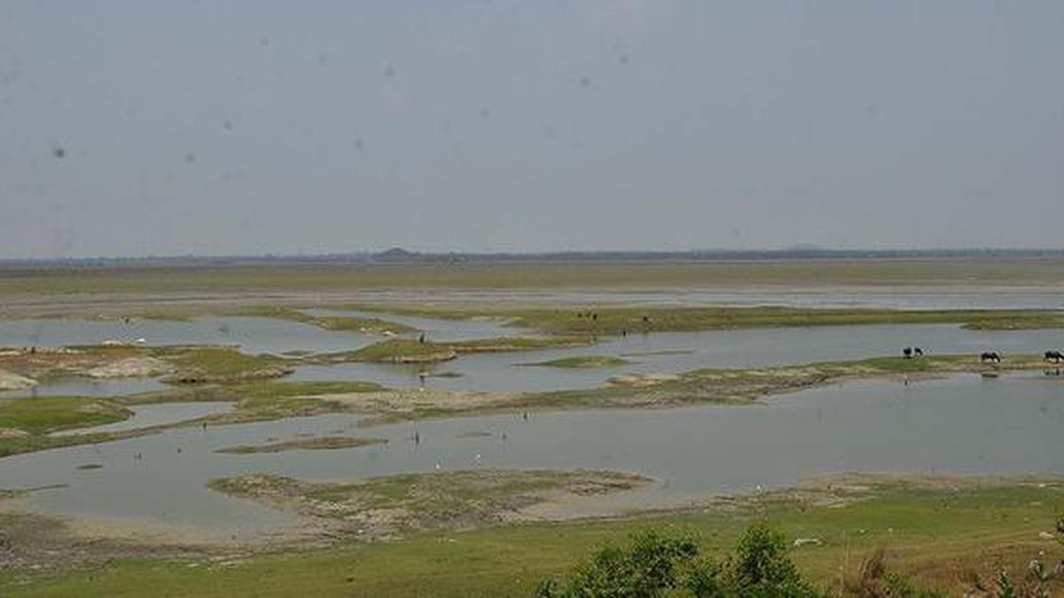 Plan to expand storage in Madurantakam lake - The Hindu