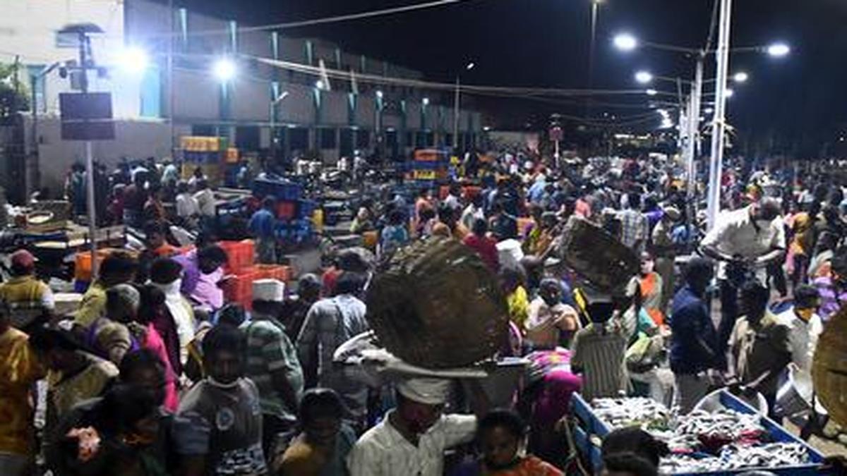 Restrictions imposed in Kasimedu harbour - The Hindu