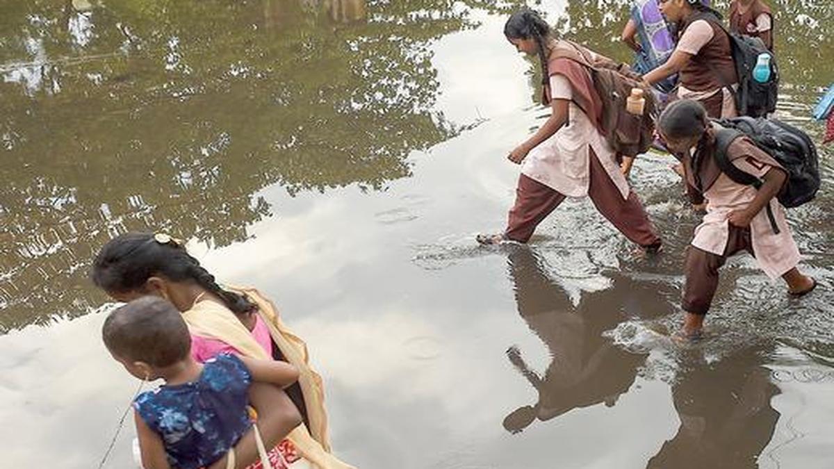 Clogged drains leave Chromepet flooded - The Hindu