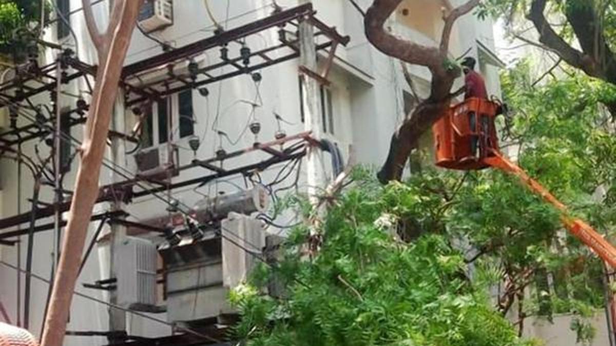 The unkindest cut of all - The Hindu