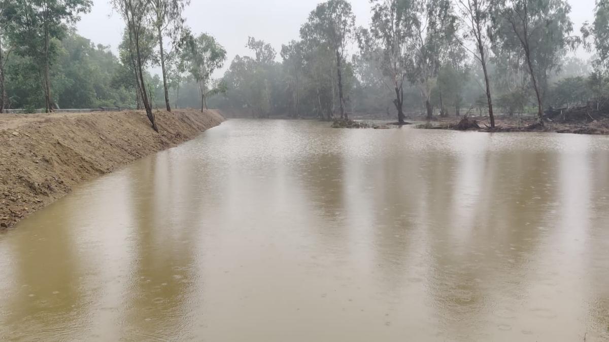 Vandalur zoo preps for monsoon by desilting ponds, enhancing enclosures ...