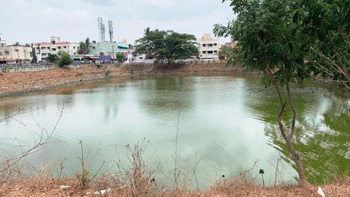 ‘Restore temple pond in Urapakkam’ - The Hindu