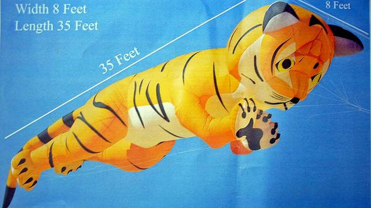 Kozhikode’s Tiger Kite to soar in Chinese skies - The Hindu