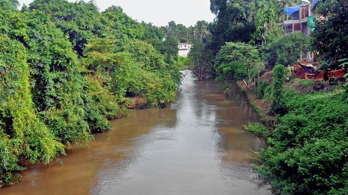 New lease of life for Kozhikode rivers - The Hindu