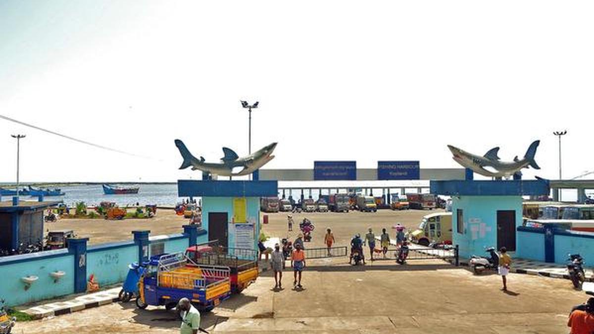 CM opens renovated Koyilandy fishing harbour - The Hindu