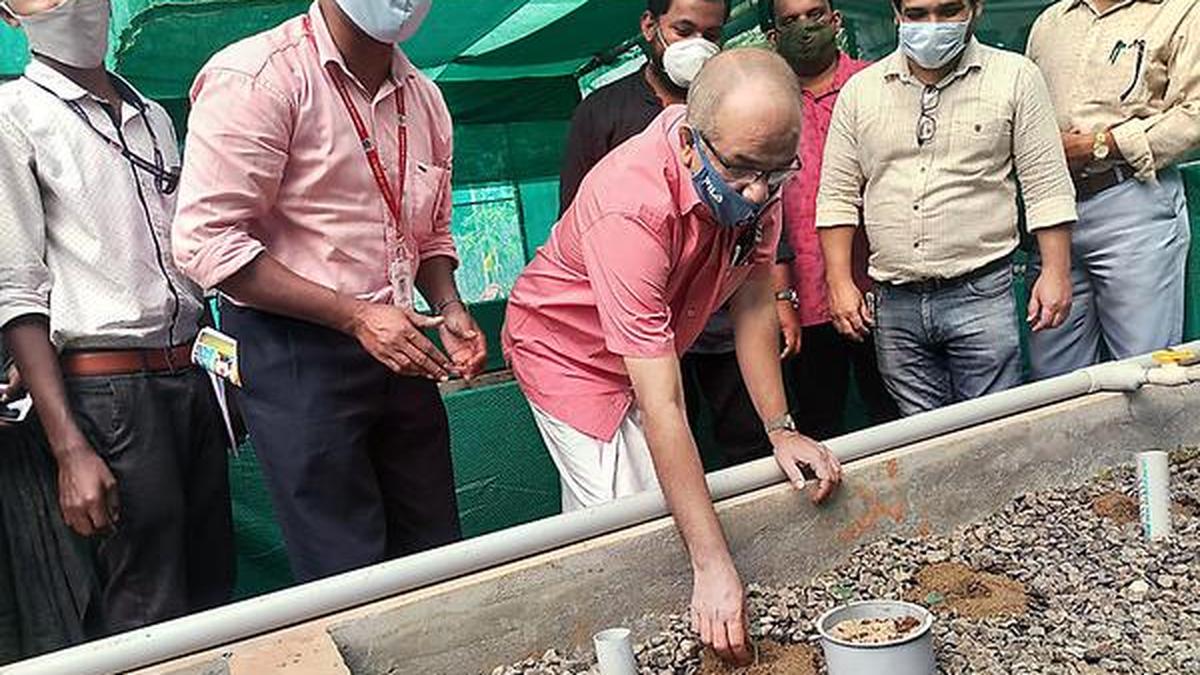 With Haritha Keralam project, Govt. ITI for Women in Kozhikode turns ...