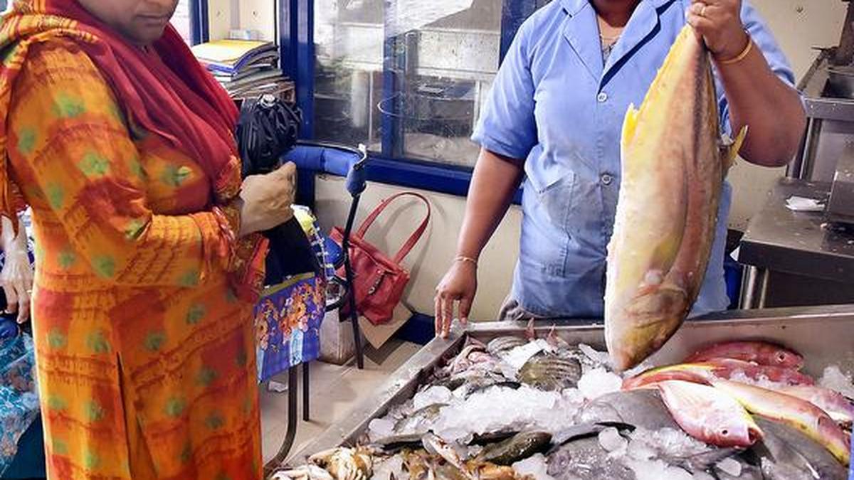 More takers for Matsyafed fish - The Hindu