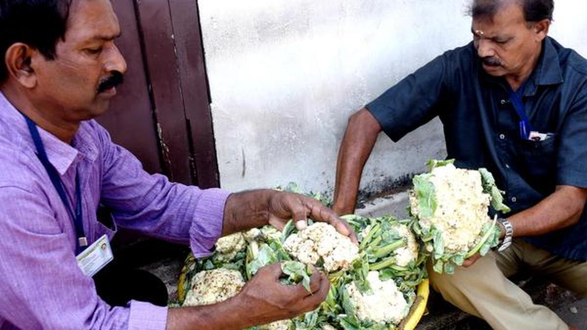 Despite crackdown, overpricing, sale of low quality food continue - The ...