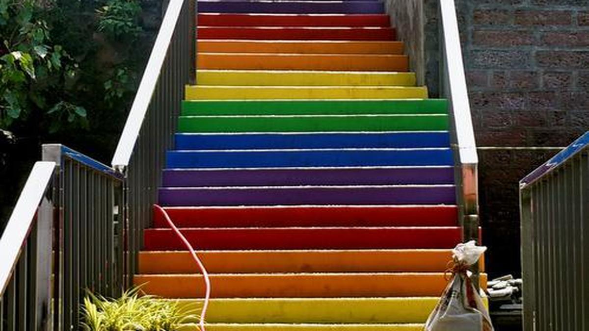 ‘Rainbow’ unfolds in a waste dumping yard - The Hindu