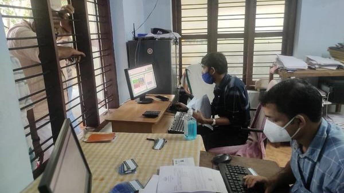 Paddy royalty scheme evokes good response from Kozhikode farmers - The ...